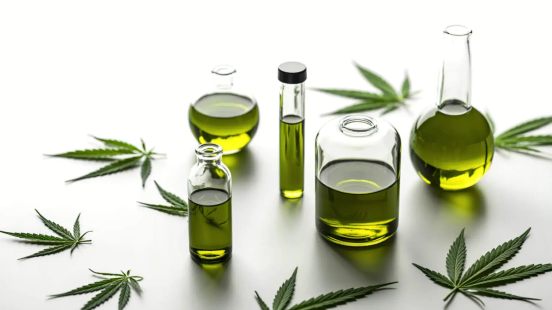 CBD or THC: Differences, Effects, and Using Them Together – VEED Labs